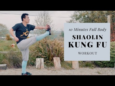 Can I Learn Kung Fu at Home? (Complete Beginner's Guide)